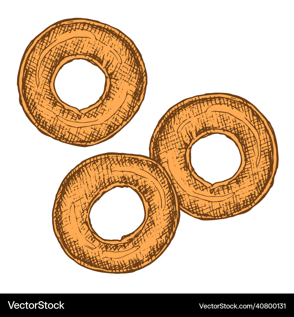 Colored of baking bagels on a white Royalty Free Vector