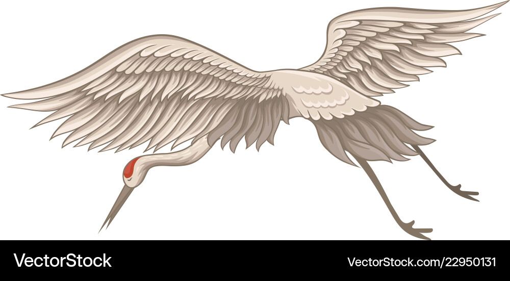 Crane in flying action wild creature large bird Vector Image