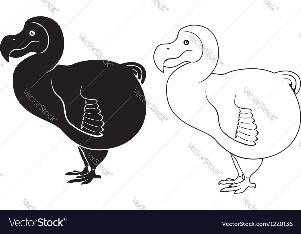 Dodo bird Royalty Free Vector Image - VectorStock