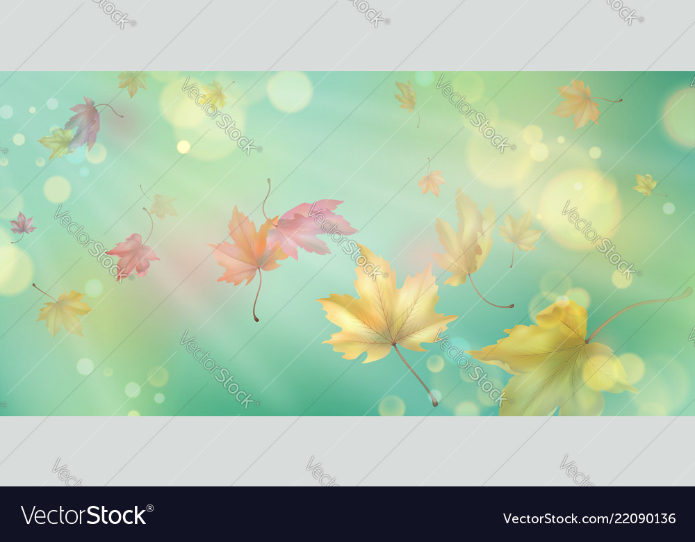 Flying autumn leaves Royalty Free Vector Image