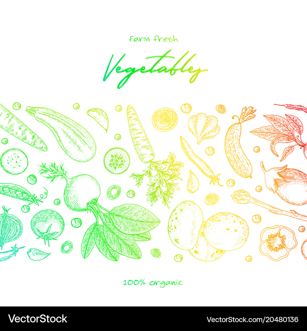 Organic food design template fresh vegetables Vector Image