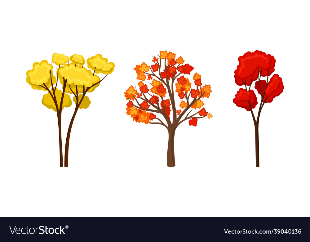 Yellow red and orange autumn trees set fall Vector Image