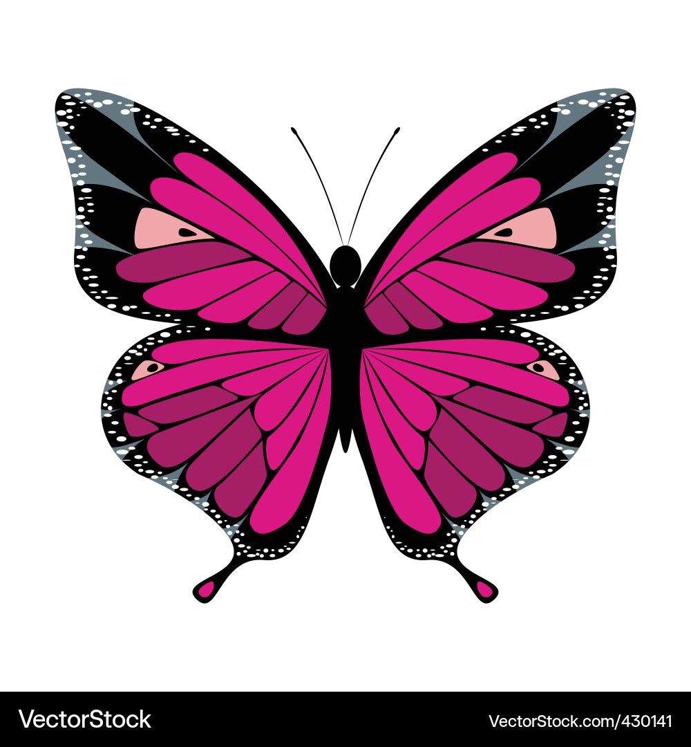 Butterfly Royalty Free Vector Image - VectorStock