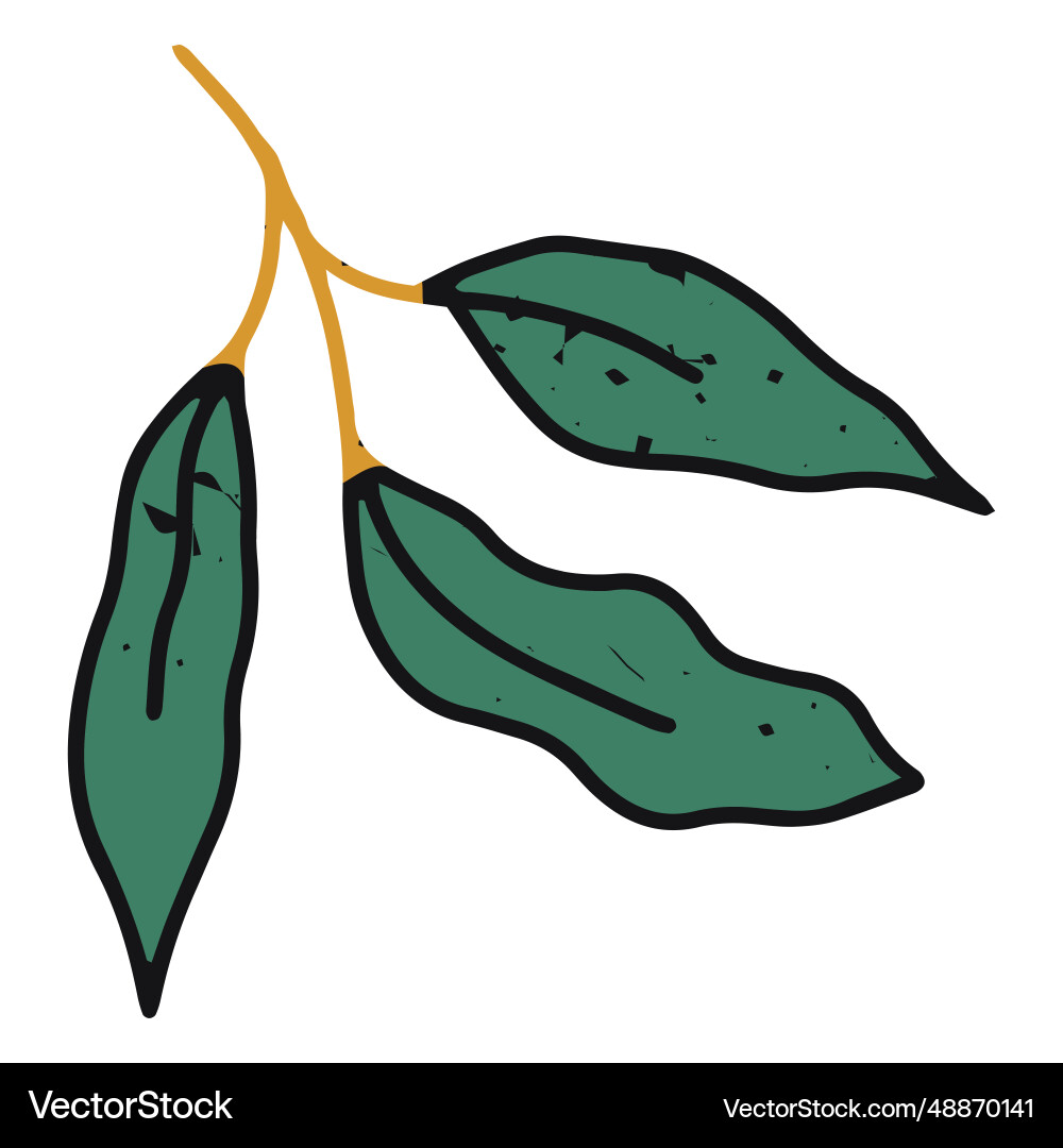 Green leaves color-stroke Royalty Free Vector Image
