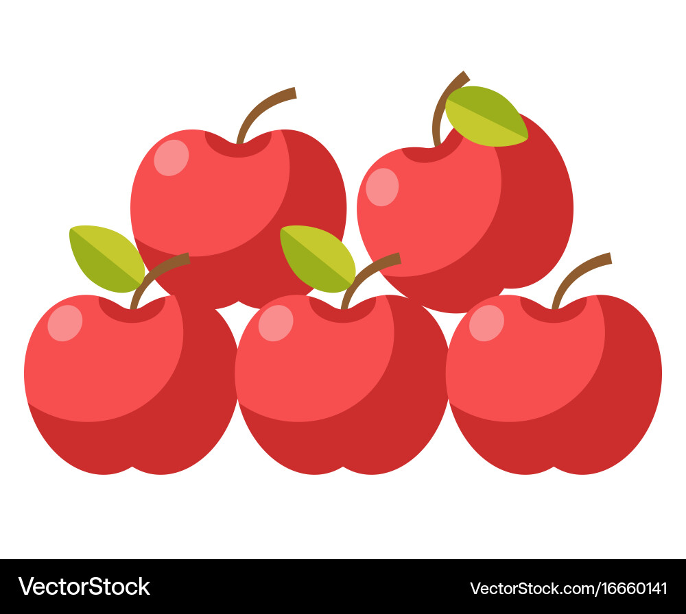 Ripe organic apples with stems and leaves Vector Image
