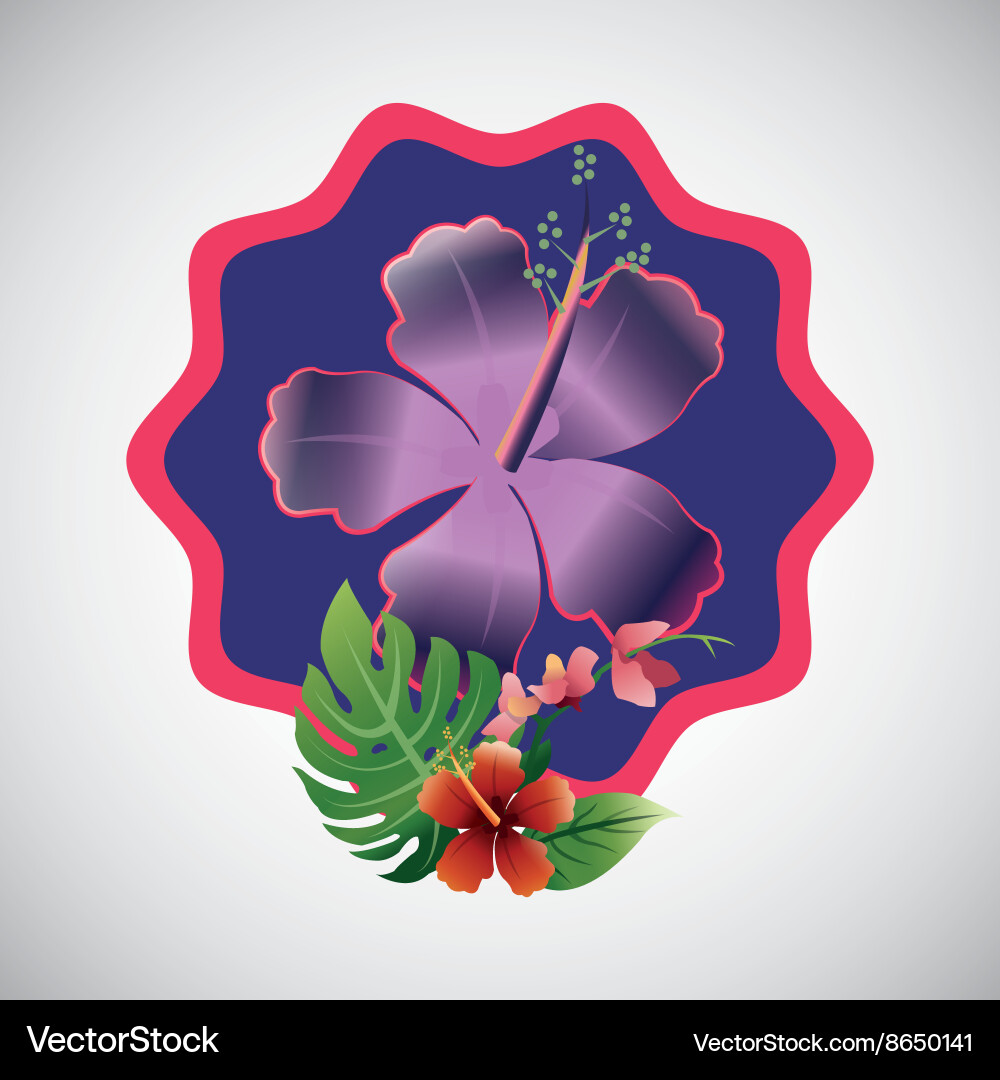 Tropical flower design floral icon natural Vector Image