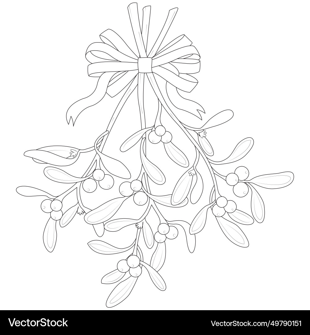 Christmas traditional mistletoe isolated on white Vector Image