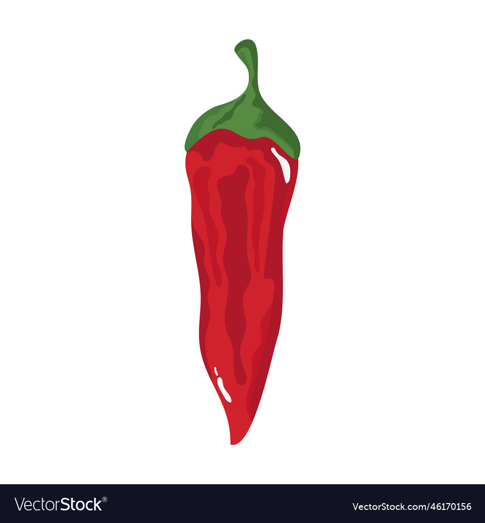 Red chilli vegetable Royalty Free Vector Image