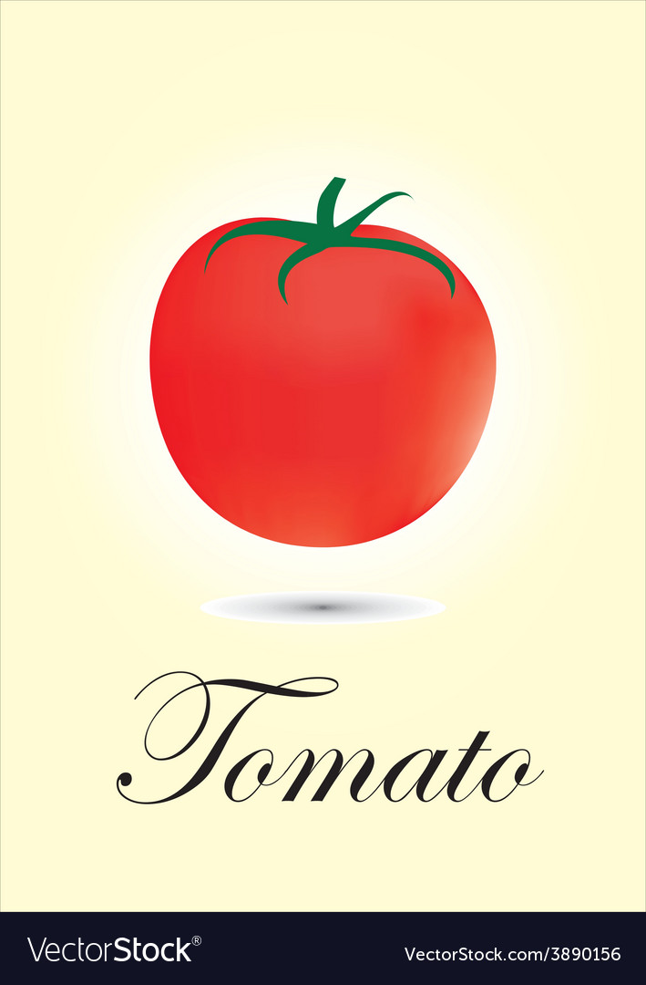 Tomato Royalty Free Vector Image - VectorStock