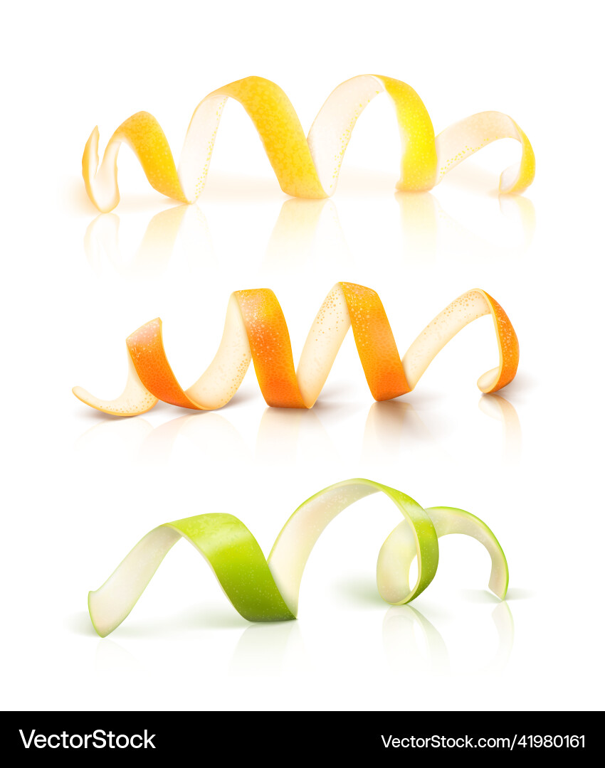 Peel of apple orange lemon Royalty Free Vector Image