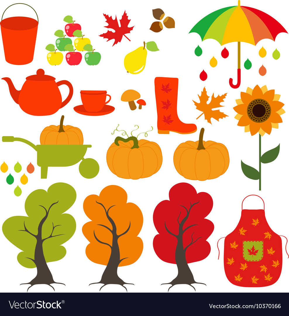 Autumn set leaves trees mushrooms nuts Royalty Free Vector