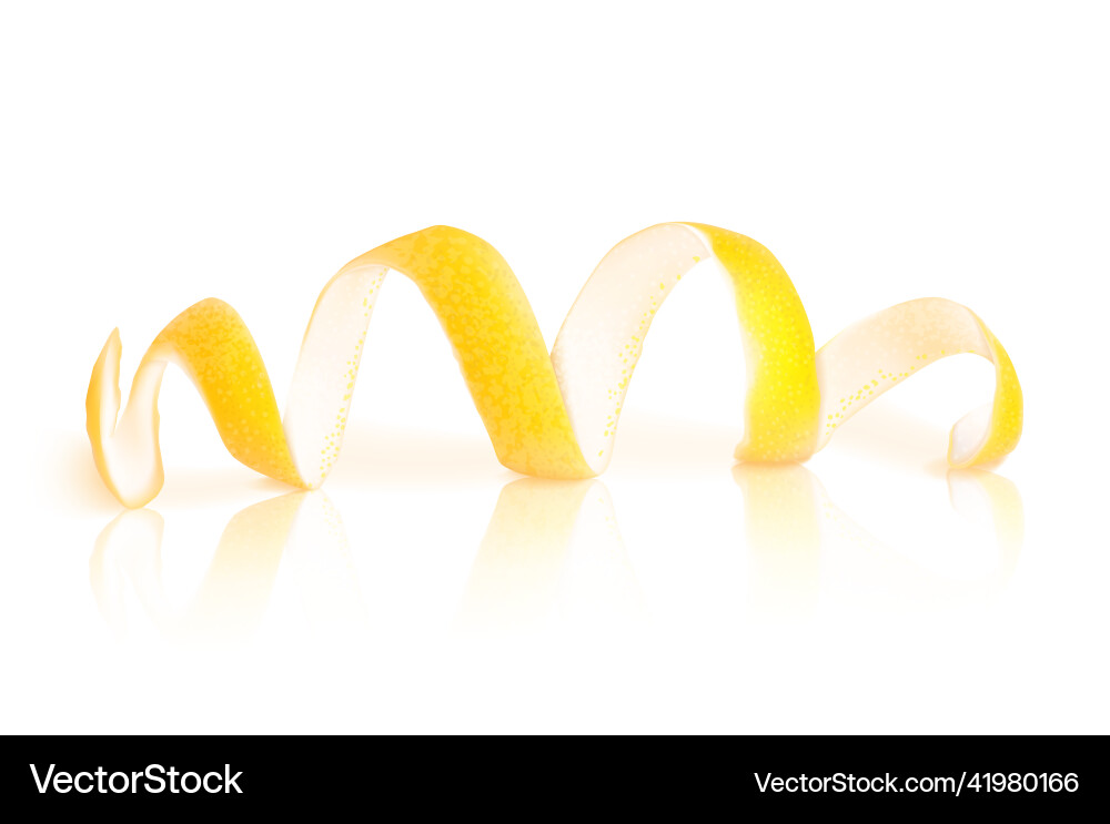 Curl of lemon peel Royalty Free Vector Image - VectorStock
