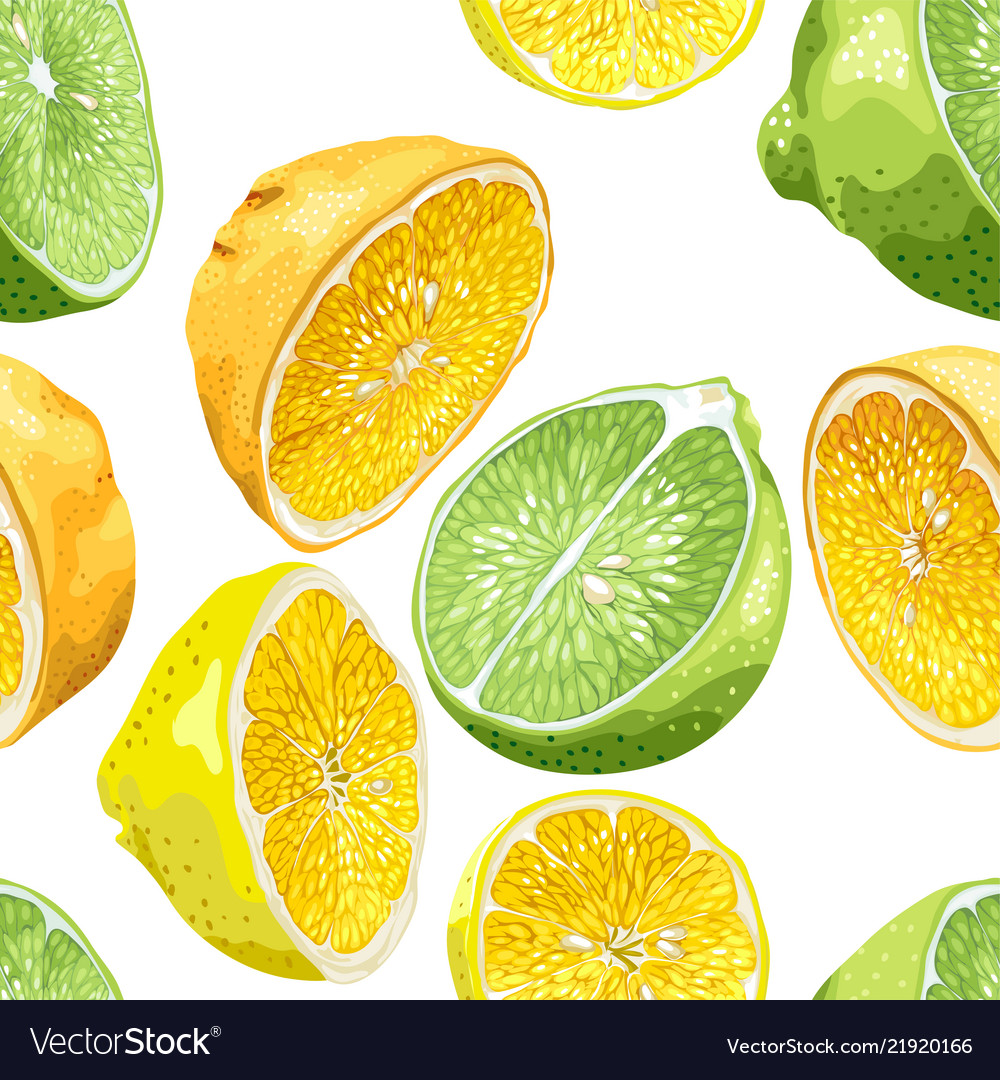 Seamless pattern with citrus tree fruits like Vector Image Seamless pattern with citrus tree fruits like Vector Image