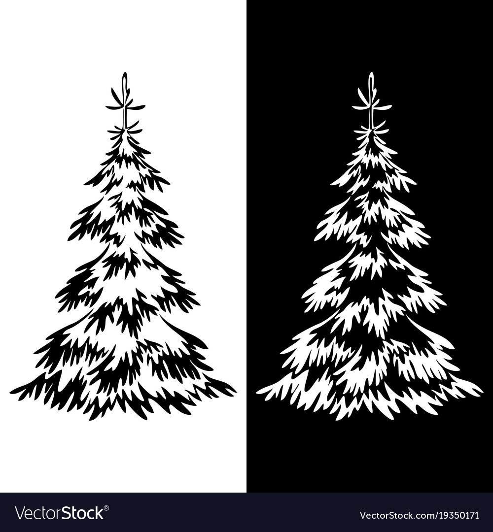 Christmas fir tree pictograms Royalty Free Vector Image Christmas fir tree pictograms Royalty Free Vector Image