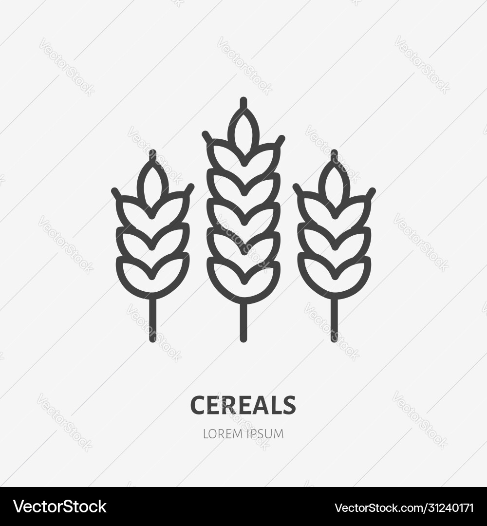 Wheat line icon pictograph cereals Royalty Free Vector Image