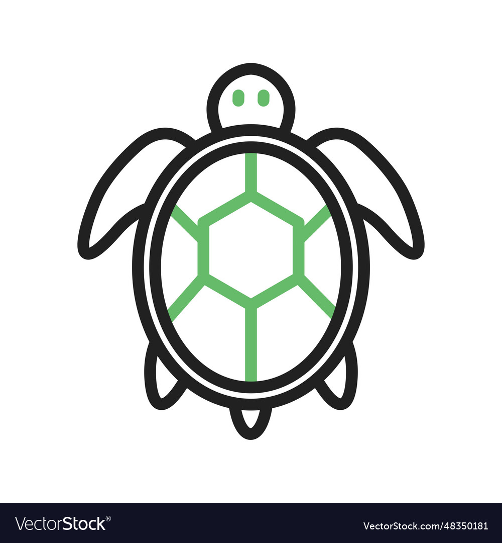 Sea turtle icon image Royalty Free Vector Image