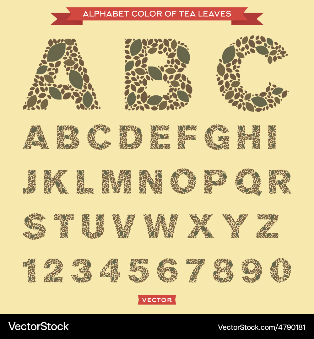 Tea leaves in form letters and numbers Royalty Free Vector