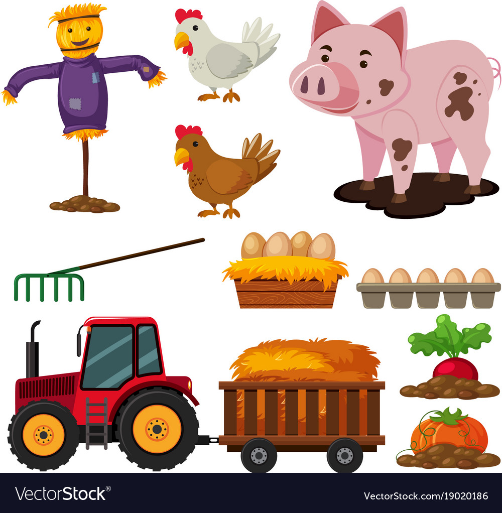 Different types farm elements Royalty Free Vector Image Different types farm elements Royalty Free Vector Image