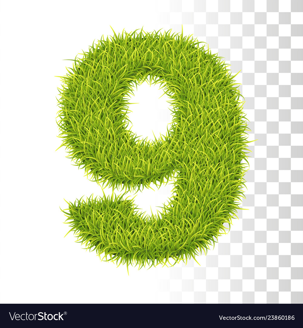 Number nine Royalty Free Vector Image - VectorStock Number nine Royalty Free Vector Image - VectorStock