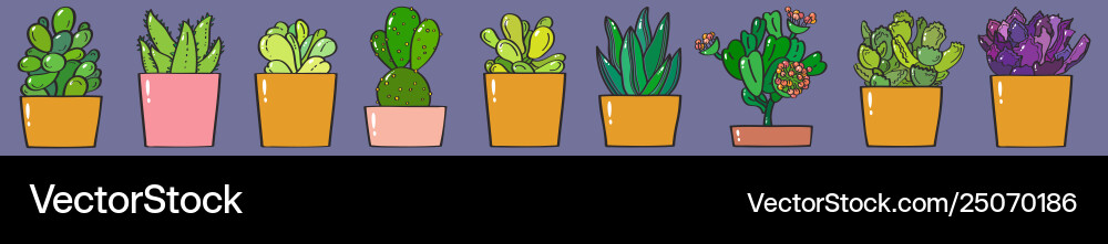 Succulents horizontal banner Royalty Free Vector Image