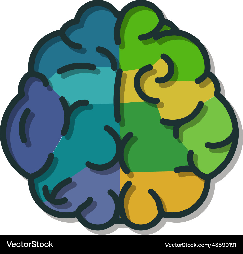Human mind with color areas brain functions icon Vector Image