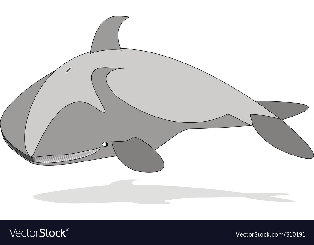 Whale Royalty Free Vector Image - VectorStock