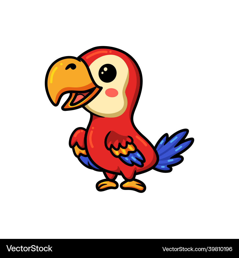 Cute red little parrot cartoon Royalty Free Vector Image
