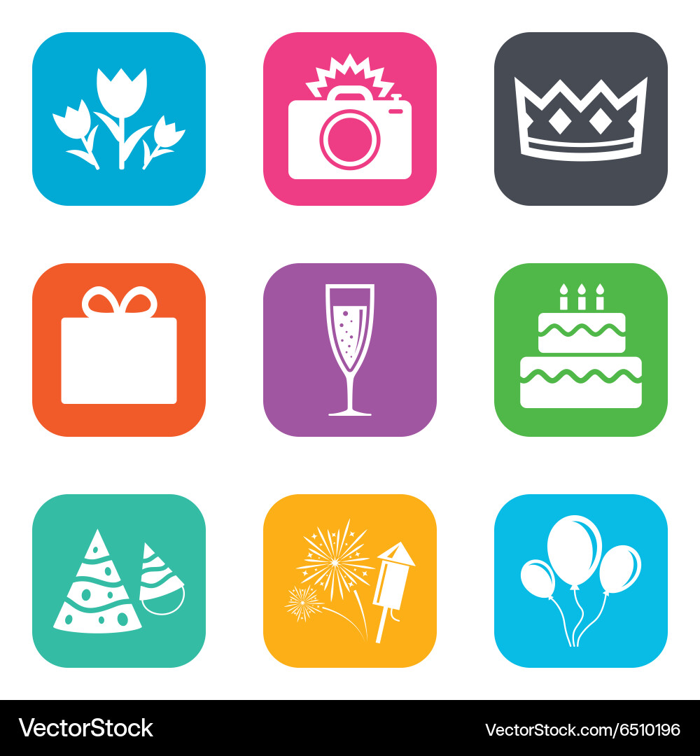 Party celebration birthday icons fireworks Vector Image
