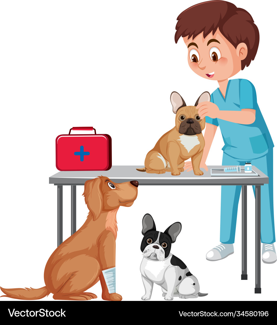 Veterinary doctor and dogs on white background Vector Image