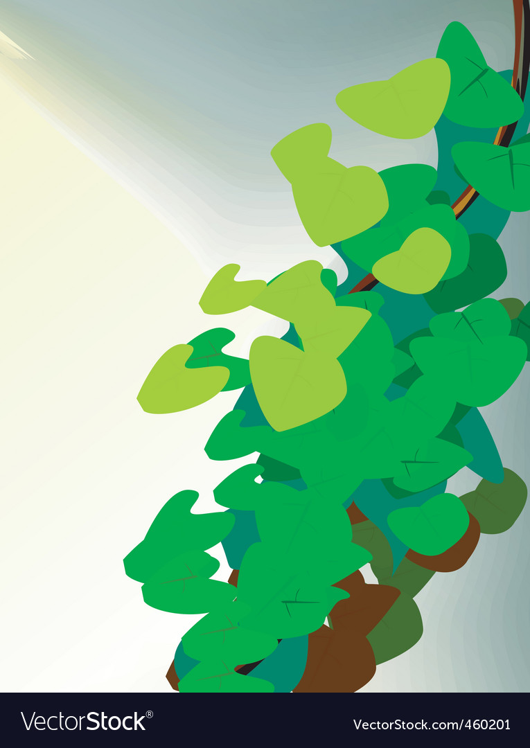 Plant Royalty Free Vector Image - VectorStock