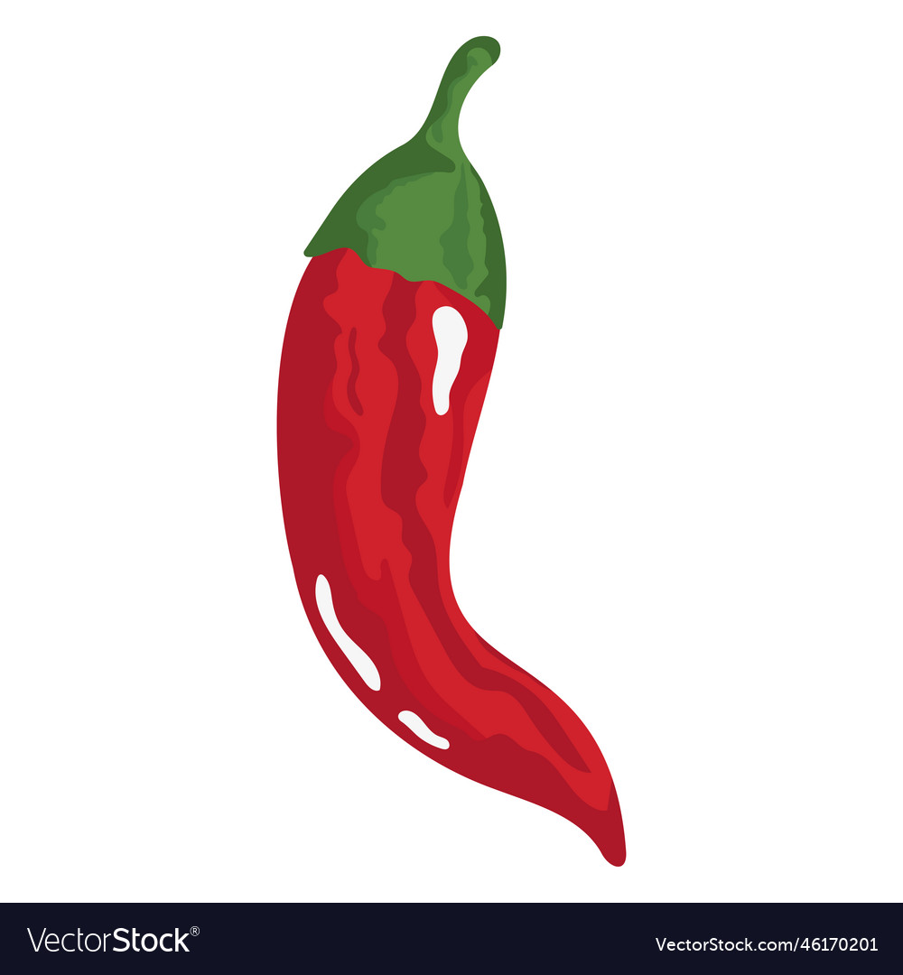 Red chilli pepper vegetable Royalty Free Vector Image