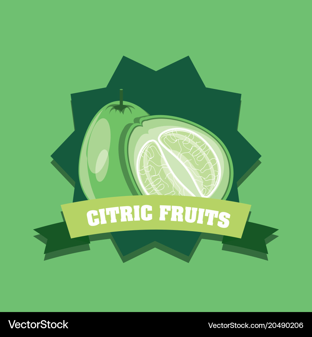 Citric fruits design Royalty Free Vector Image