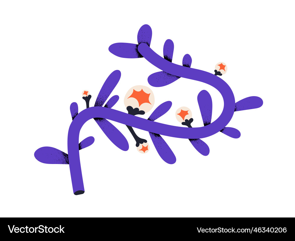Twisted flower branch with blossomed buds Vector Image