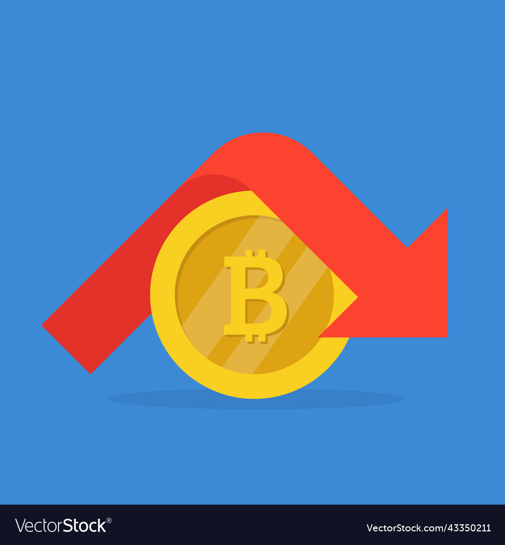 Bitcoin price collapse graph falling down Vector Image