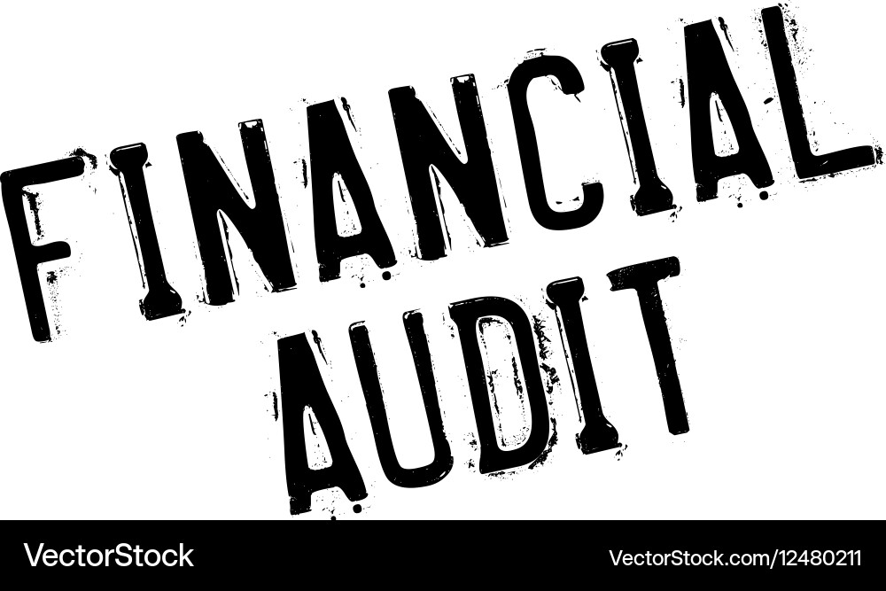 Financial audit rubber stamp Royalty Free Vector Image
