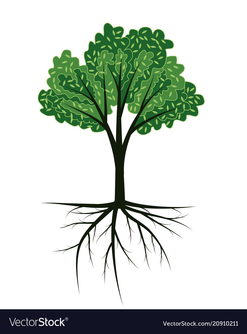 Tree with roots Royalty Free Vector Image - VectorStock