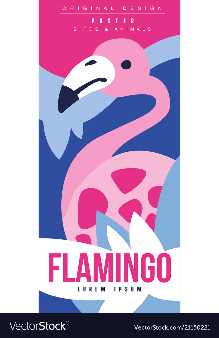 Flamingo birds and animals poster original design Vector Image