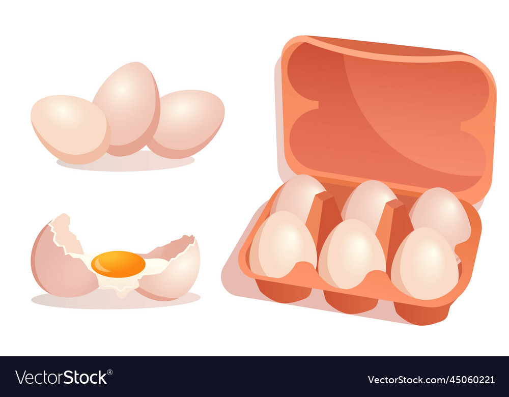Fresh eggs set Royalty Free Vector Image - VectorStock