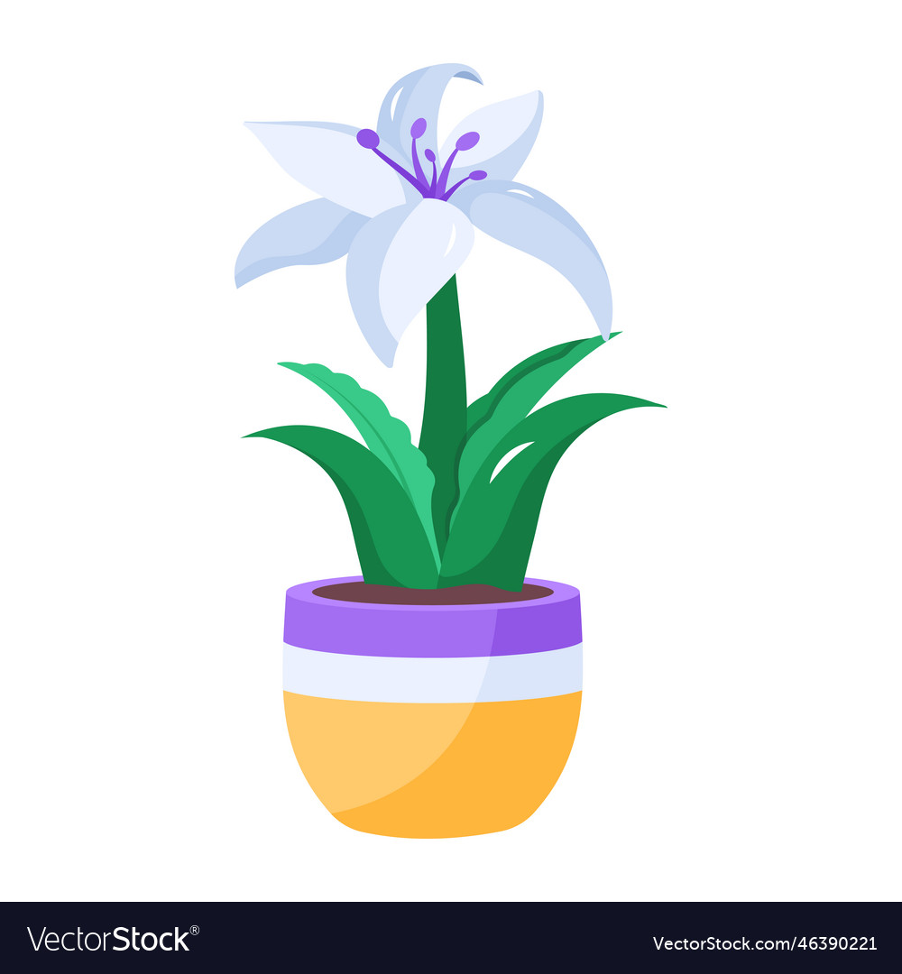 Lily flower Royalty Free Vector Image - VectorStock