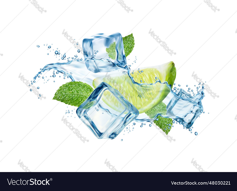 Mojito drink wave splash with lime ice cubes Vector Image
