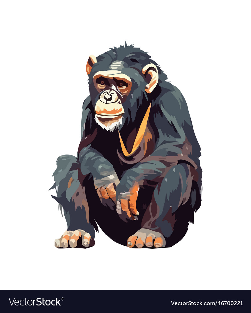Monkey primate animal Royalty Free Vector Image