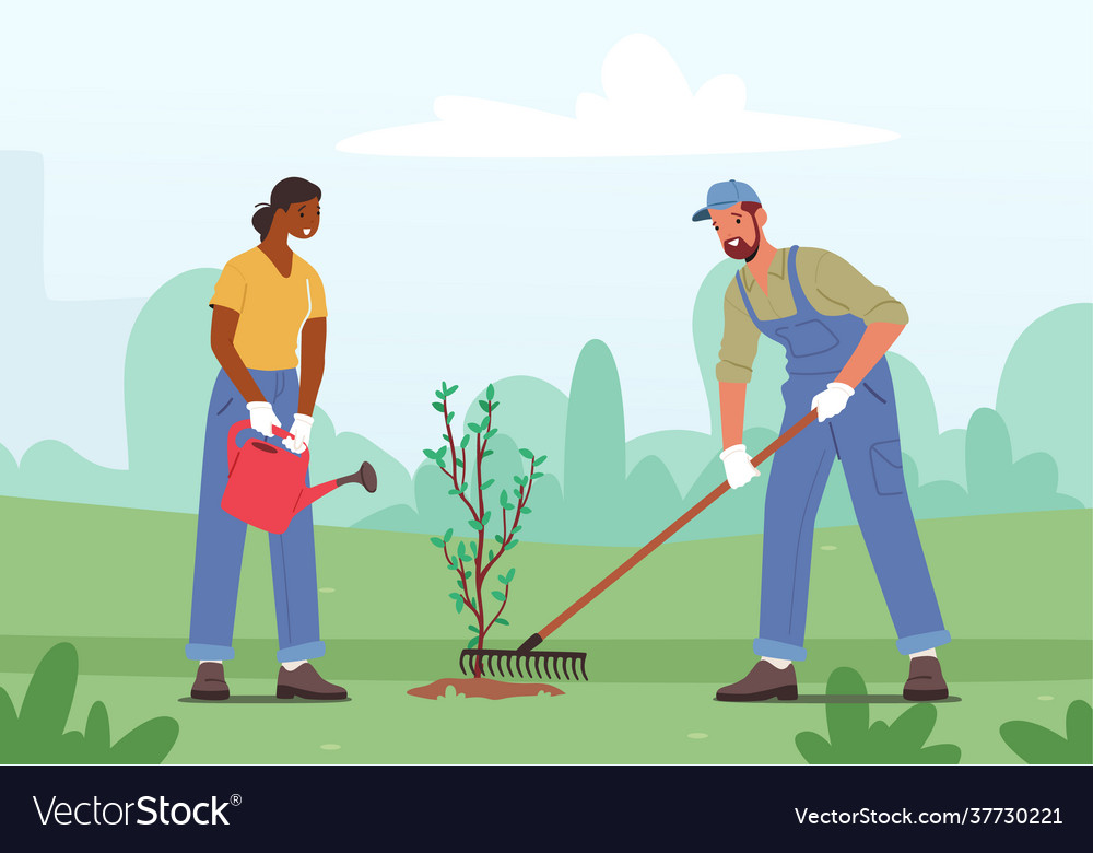 Reforestation forest restoration planting new Vector Image Reforestation forest restoration planting new Vector Image