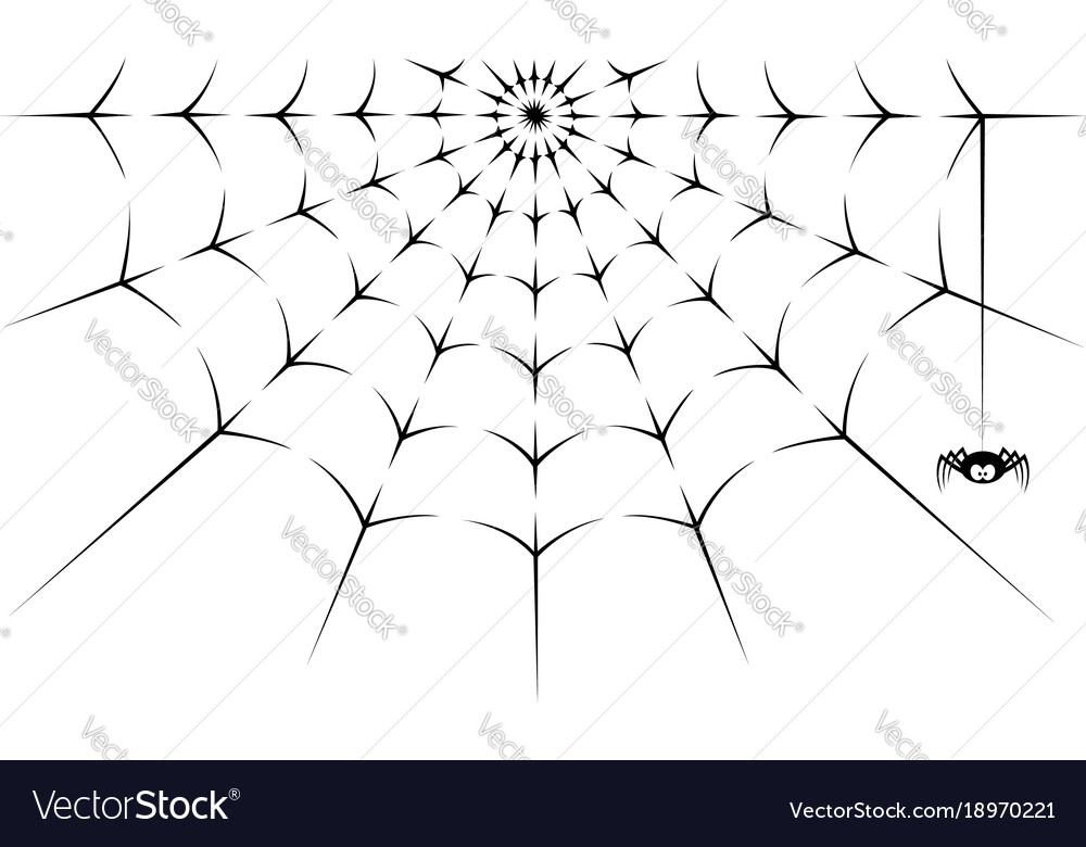 Spider and web Royalty Free Vector Image - VectorStock