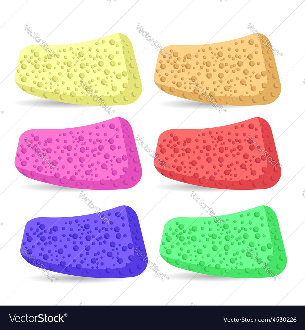 Bath sponges Royalty Free Vector Image - VectorStock