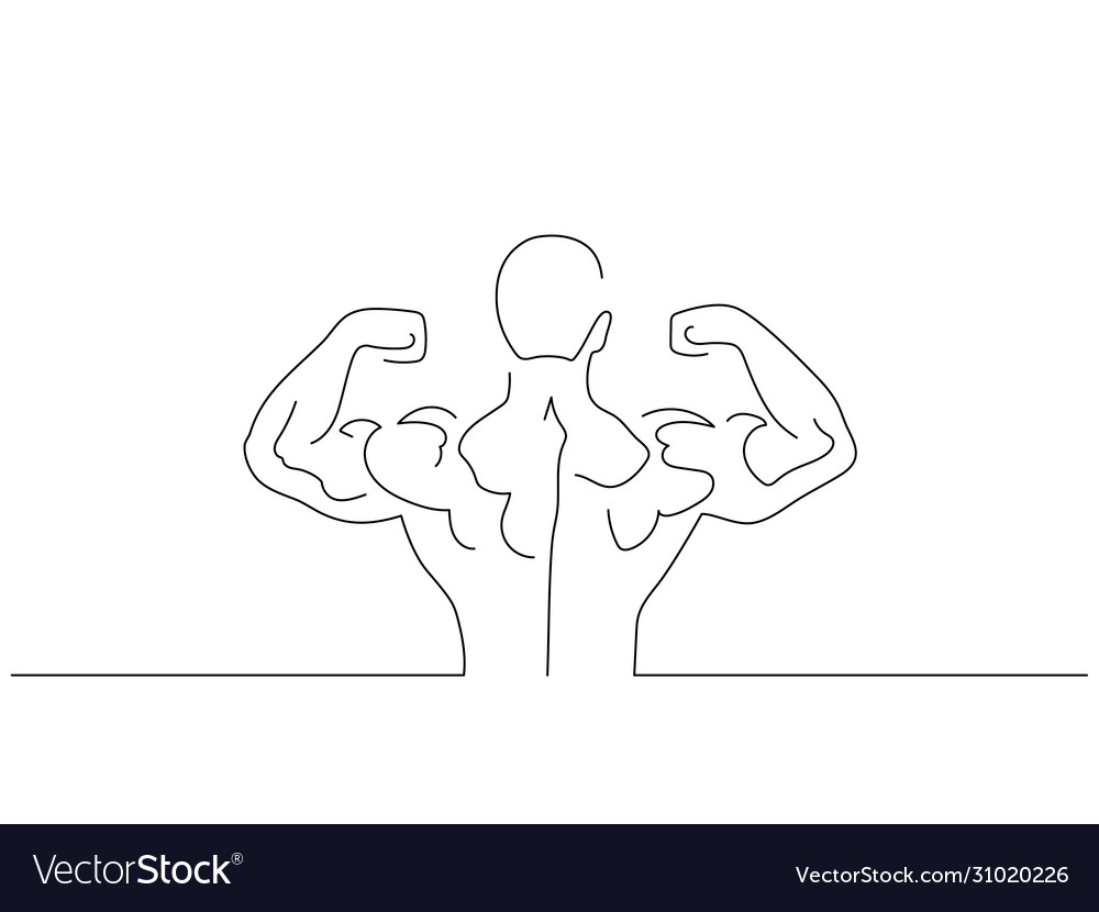 Bodybuilding isolated line drawing Royalty Free Vector Image