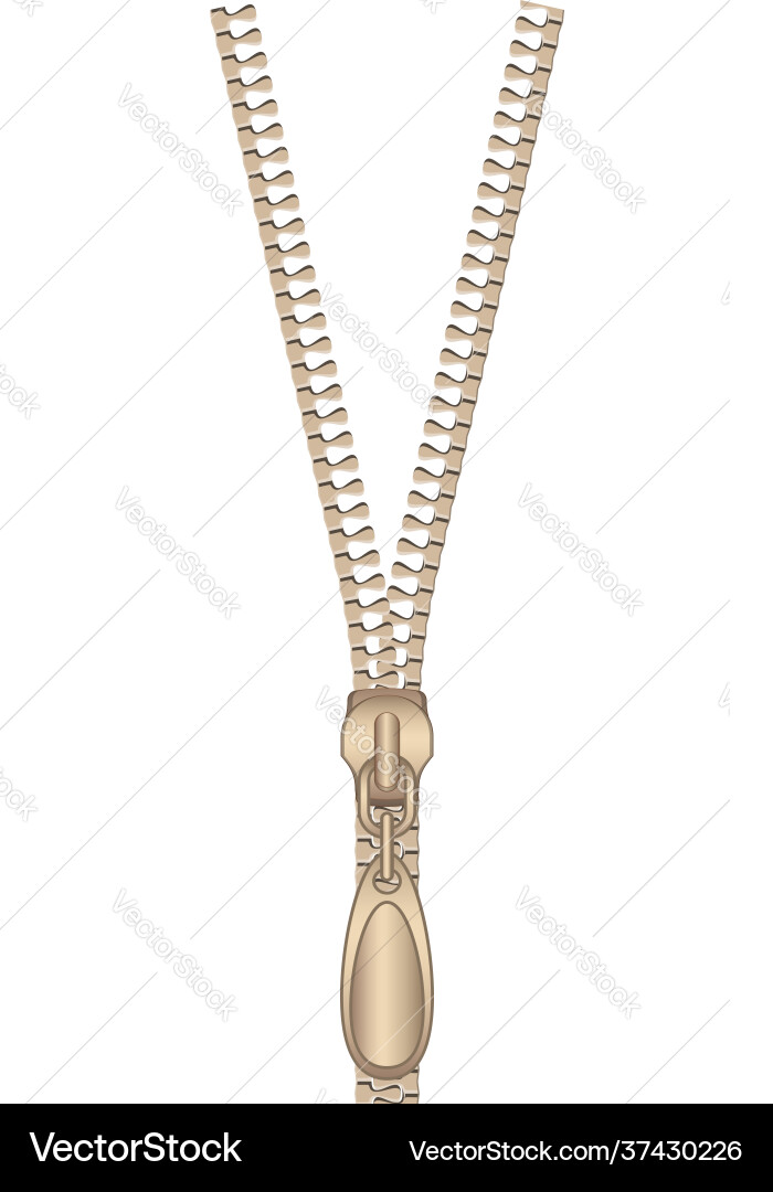 Jacket zipper icon cartoon style Royalty Free Vector Image