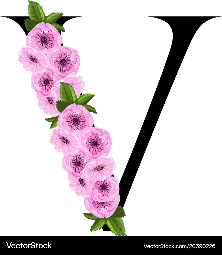 Letter v floral ornament Royalty Free Vector Image