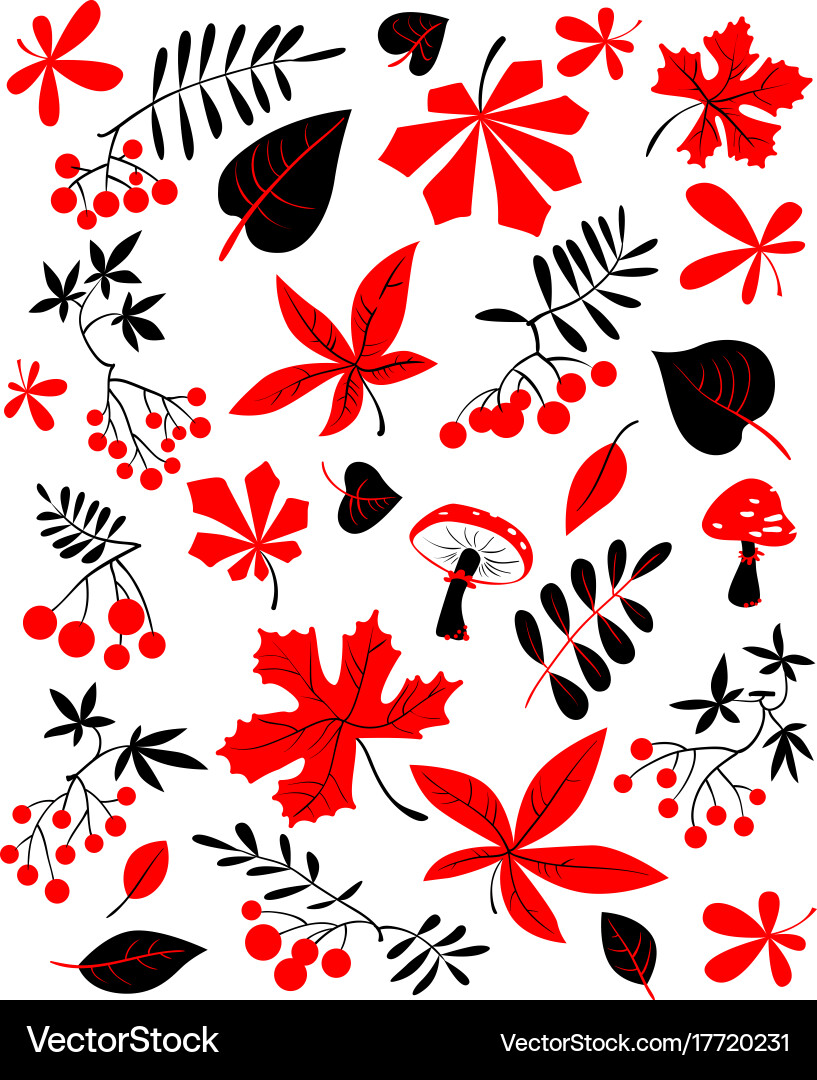 Autumn floral set fall season Royalty Free Vector Image