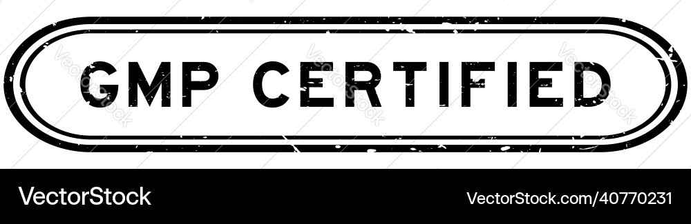 Grunge black gmp good manufacturing practice Vector Image