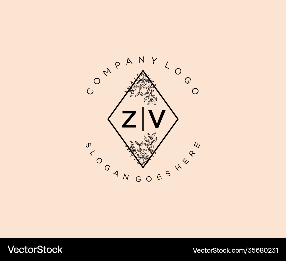 Initial zv letters beautiful floral feminine Vector Image